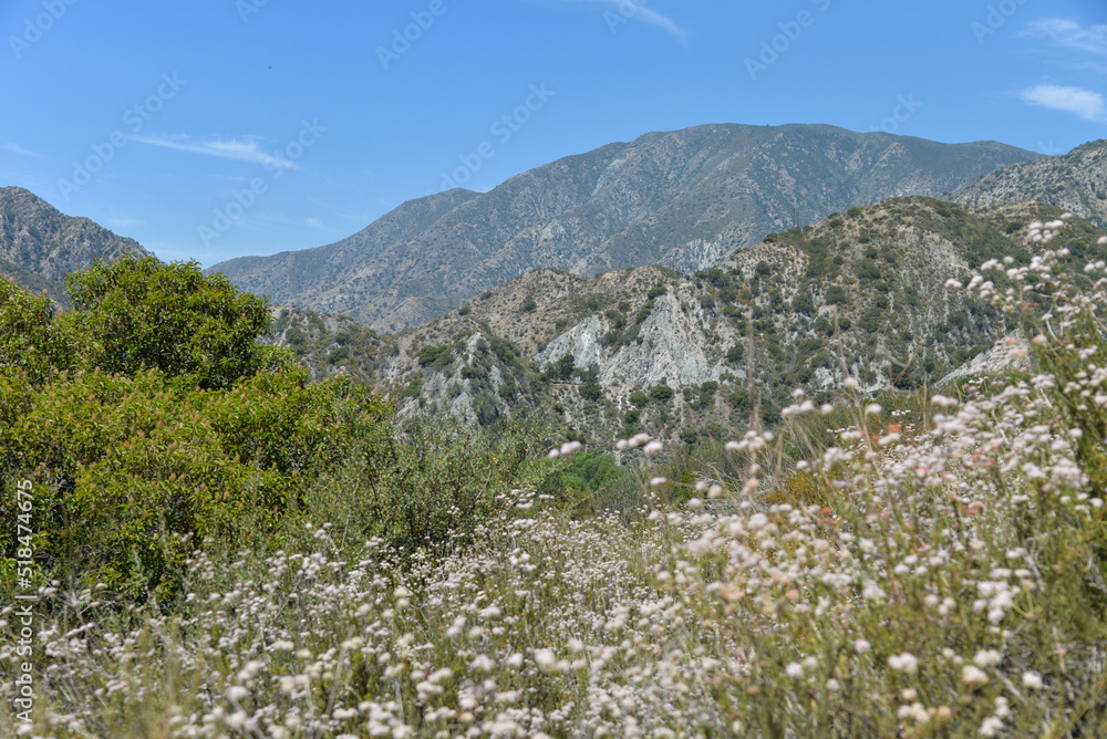 Tujunga, California, USA - May 9, 2022: Beautiful landscape on the ...