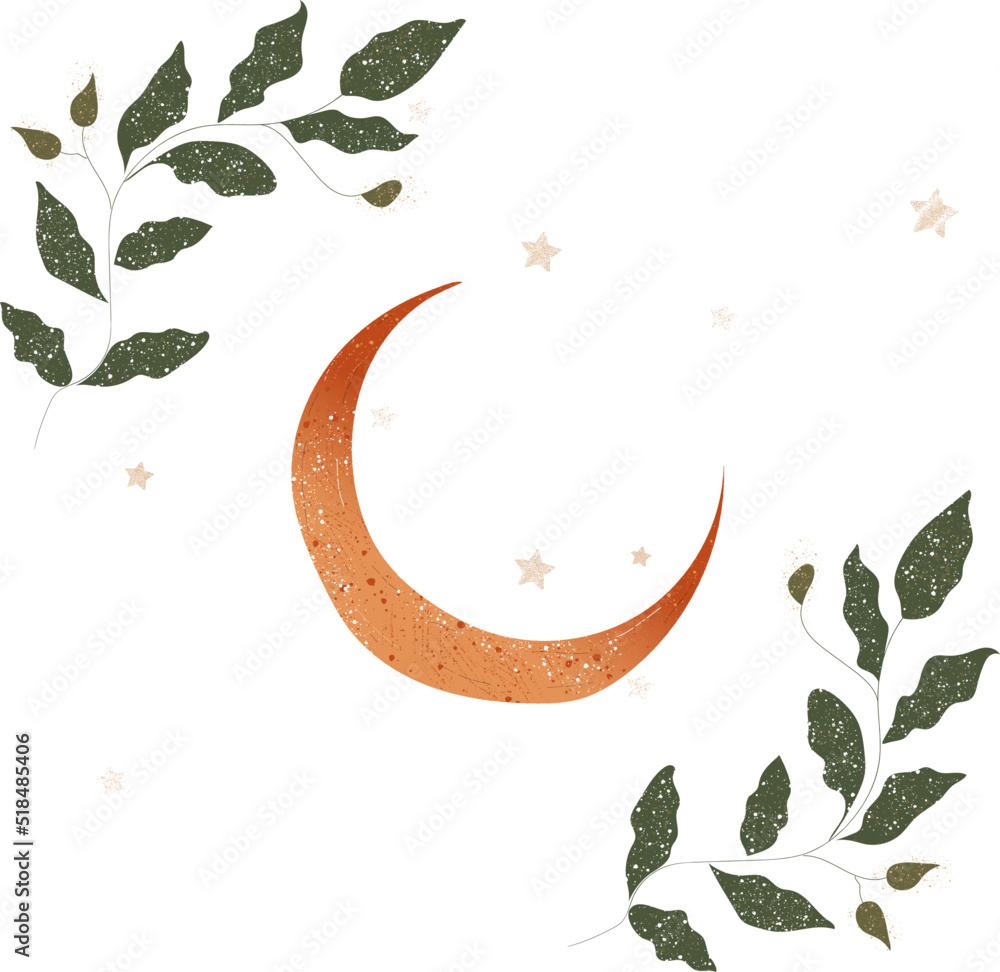 Floral moon clipart. Moon phase and flowers set. Hand drawing crescent ...