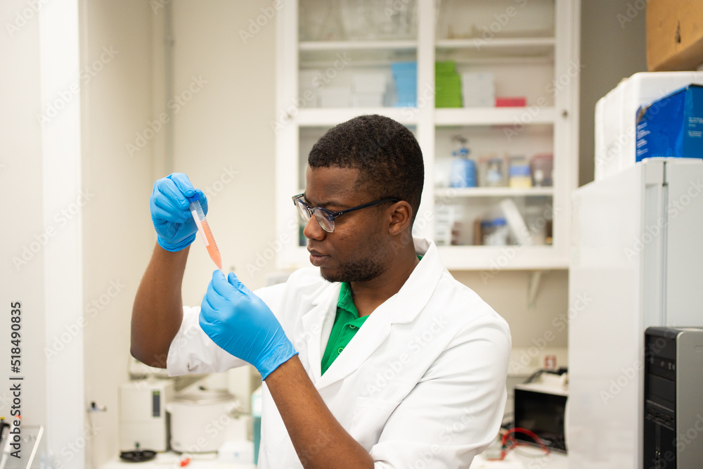 Black Scientist Checking A Tube In The Laboratory. Stock Photo | Adobe ...