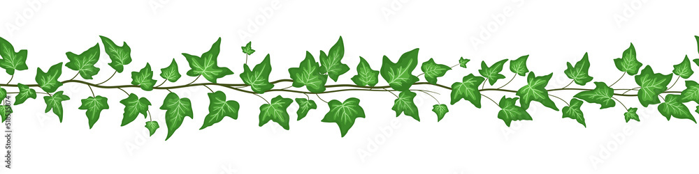 Seamless border with green ivy leaves isolated on white background ...