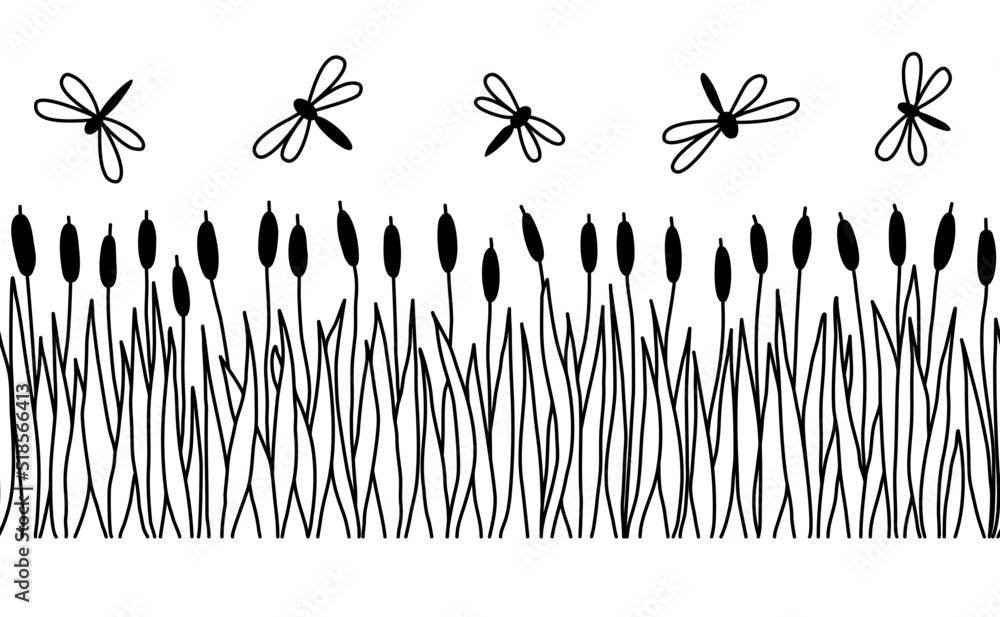 Vector contour illustration. Seamless border of cattail, flying ...
