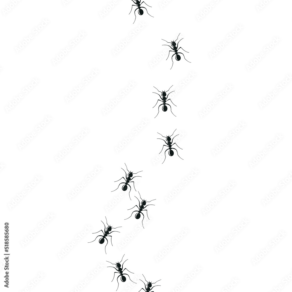 Ant trail colony. Marching ants in search of food. Vector Illustration ...