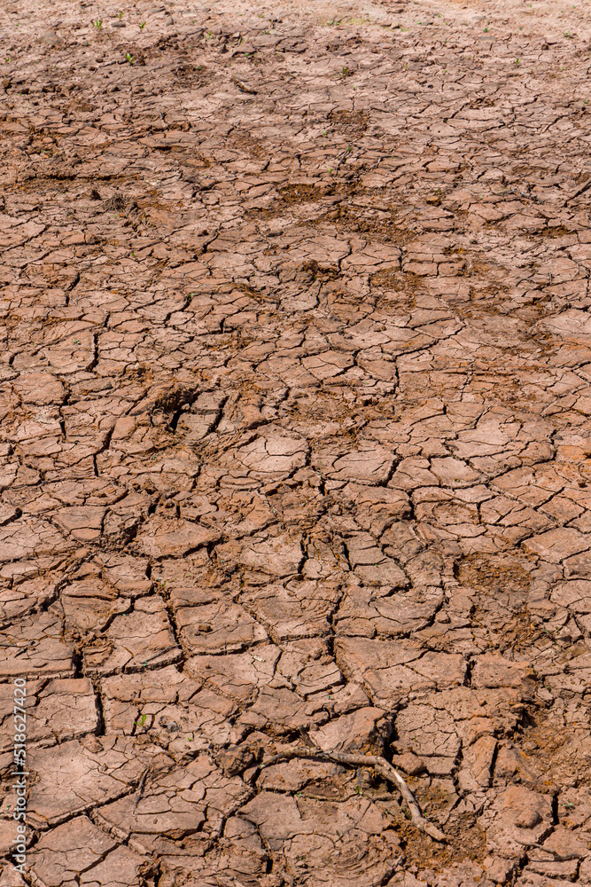 Cracked, dry earth at a reservoir during a heatwave and drought foto de ...