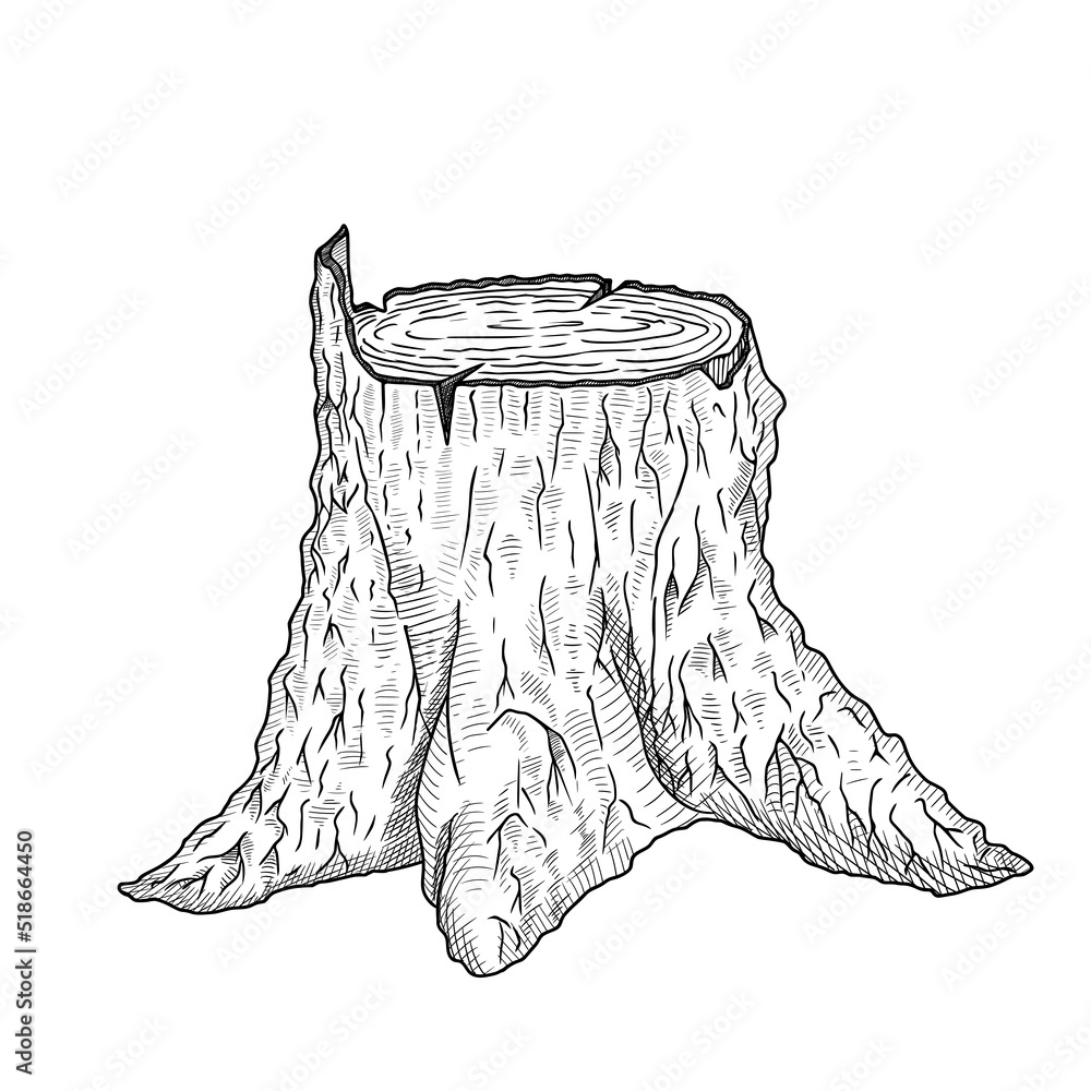Hand drawn sketch of a wooden stump. Vector illustration isolated on ...