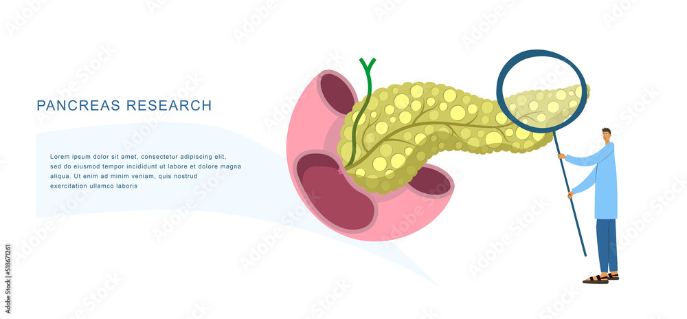 Tiny physician examines human pancreas with magnifier to diagnose its ...