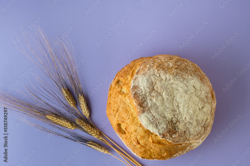 Loaf of bread and ears of wheat on a violet Very Peri color of the year ...