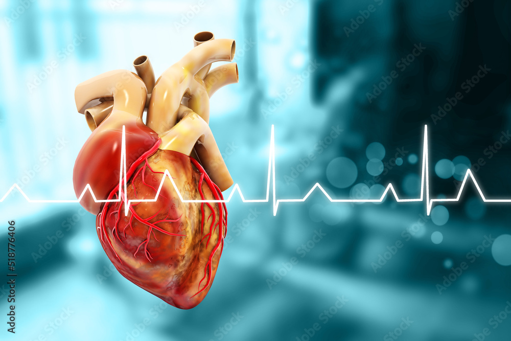 Human heart anatomy on blurred medical background. 3d illustration ...