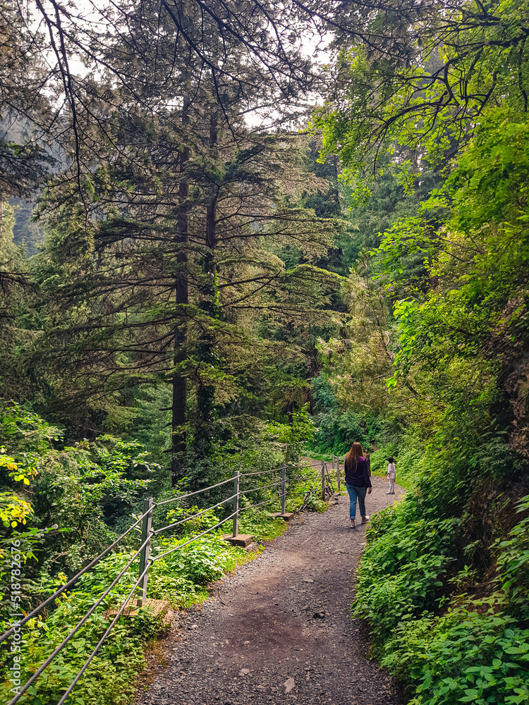 Pipeline Track; Ayubia National Park, Dunga Gali, is one of the most ...