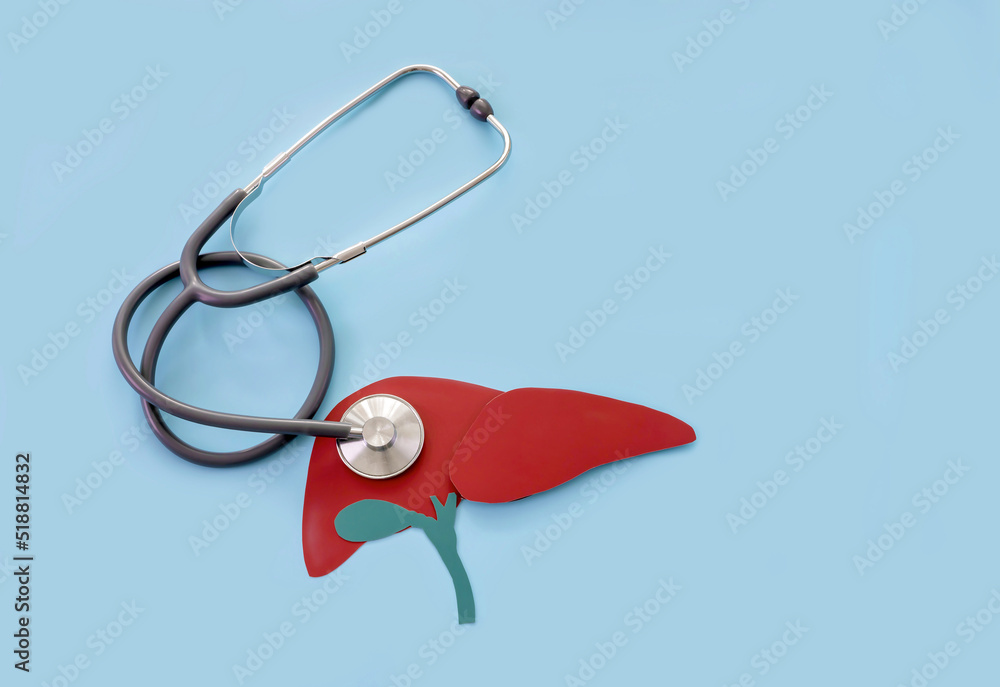 model of a human liver made of paper and a stethoscope on a blue ...