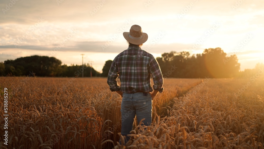 Foto de Agriculturalist man standing in yellow wheat field on sunset and looking at the harvest ...