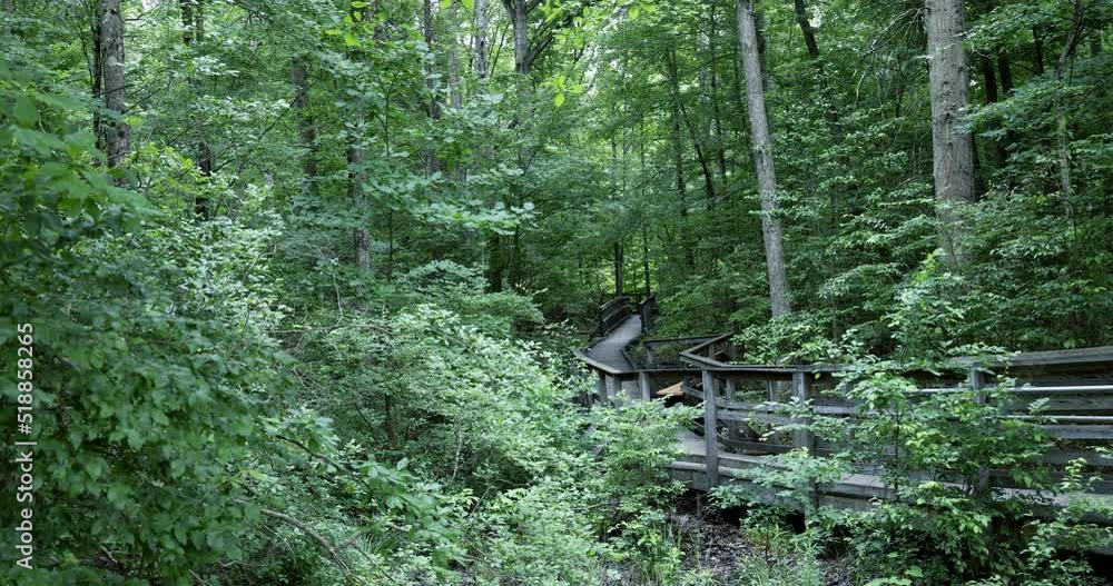 Zooming in on a boardwalk running through the Great Swamp in New Jersey ...