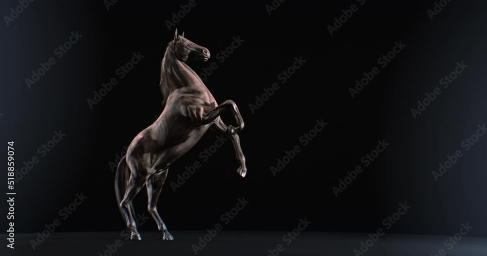 Brown stallion rearing up against dark background with side light on ...