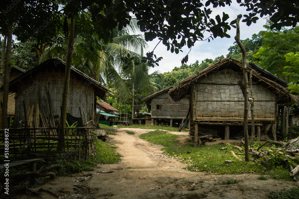 Rural village houses with dirt a road and long trees. Country landscape ...
