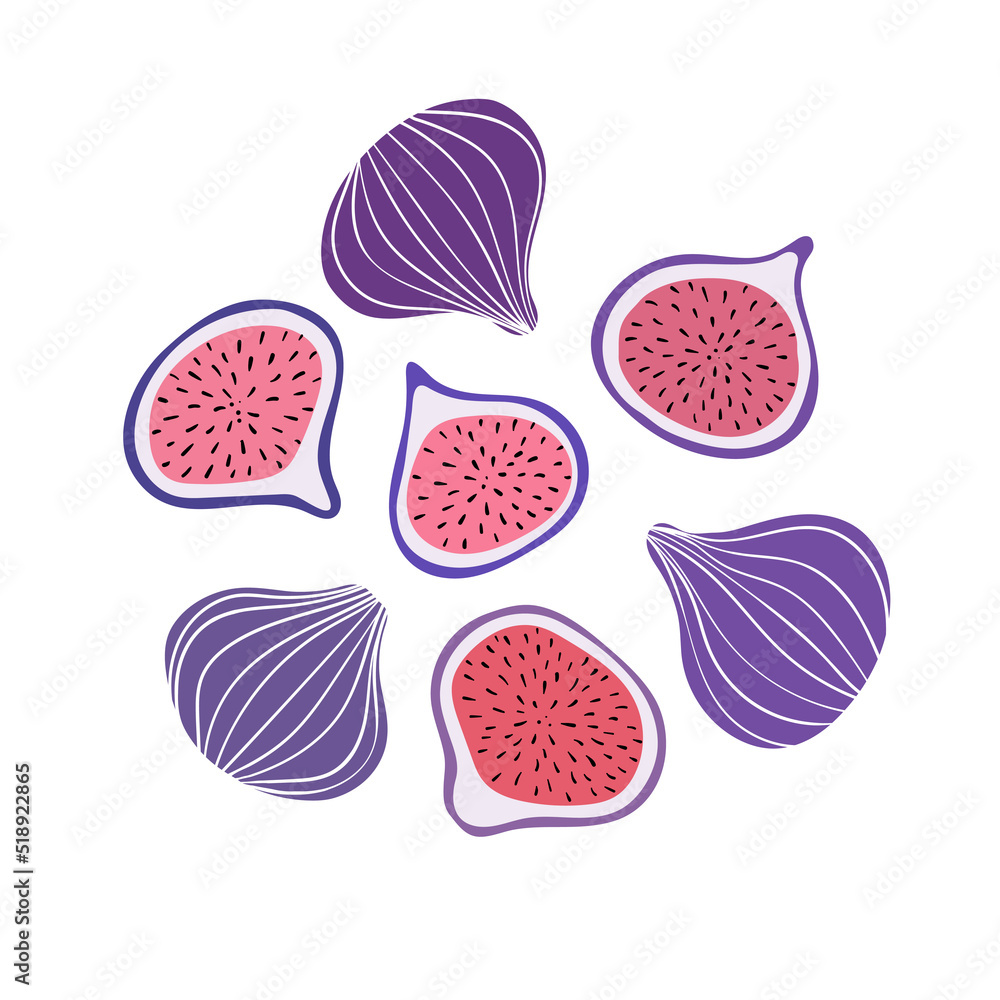 Tropical set with violet figs and fig slices. Hand drawn fruits fig ...