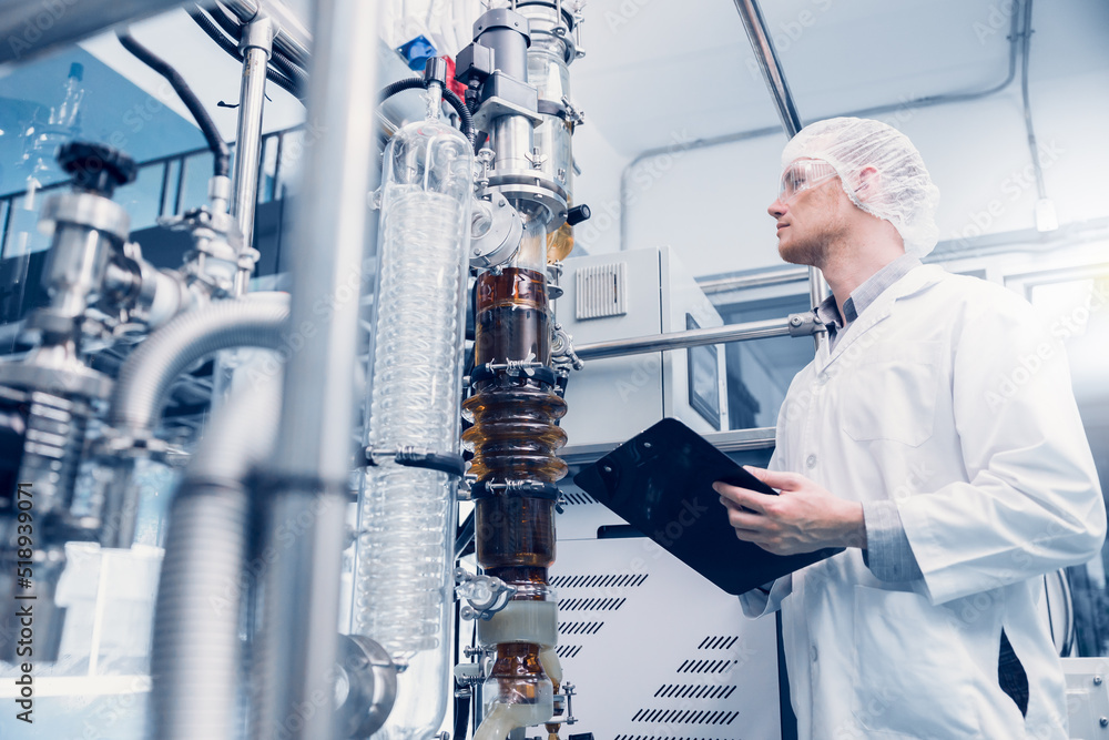 Science lab medical factory staff working for Cannabis CBD oil ...