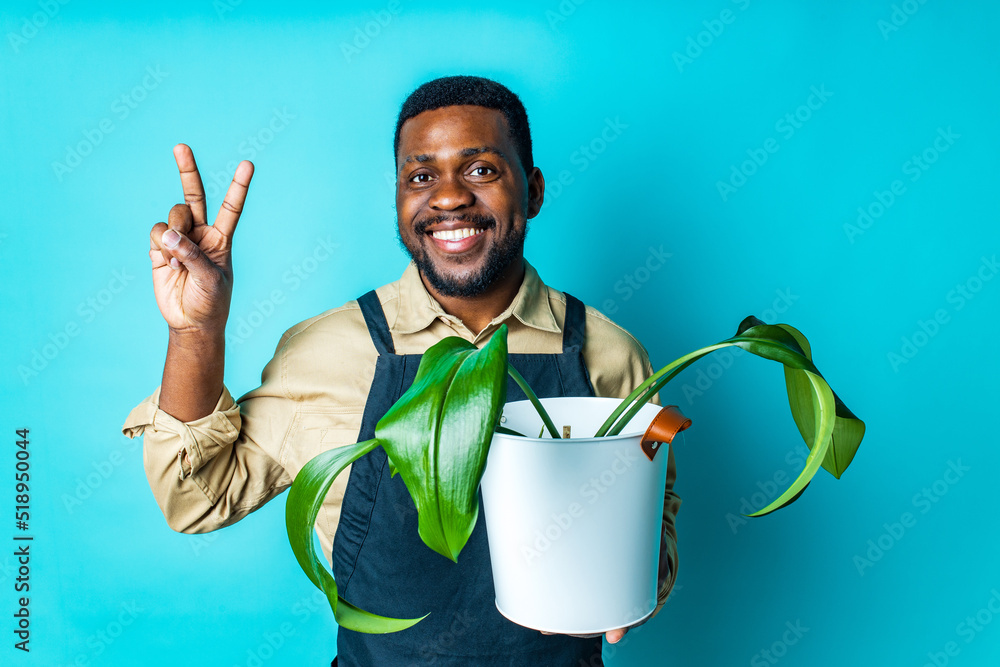 african american man in black apron is ready to spring season in blue ...