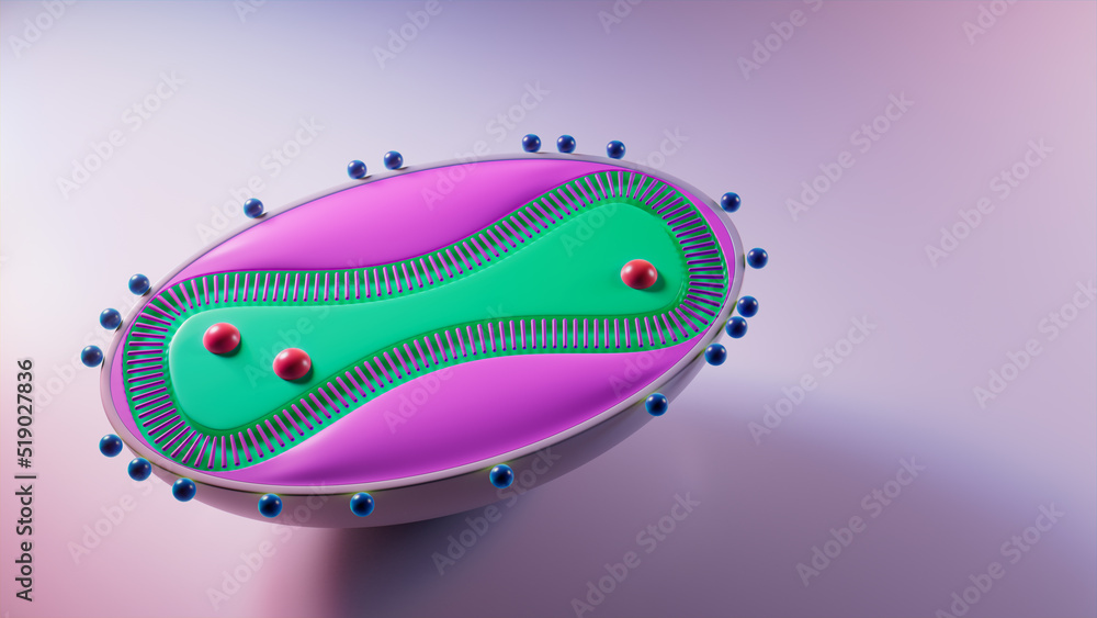 3D Illustration showing the Cell Structure of the Monkeypox Virus. 3D ...