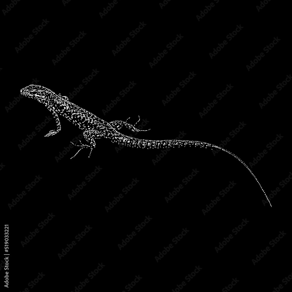 Poster Lazarus Lizard hand drawing vector illustration isolated on ...