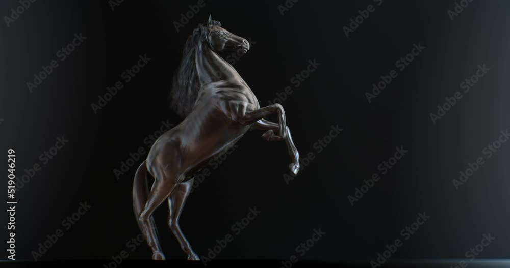 Dark stallion rearing up against black background with side light on ...