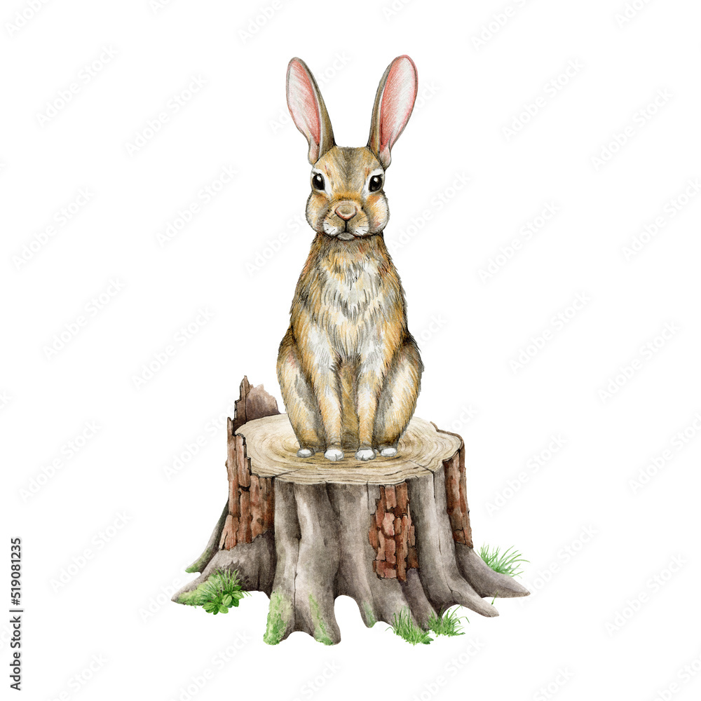 Small bunny on a tree stump. Watercolor illustration. Little rabbit ...