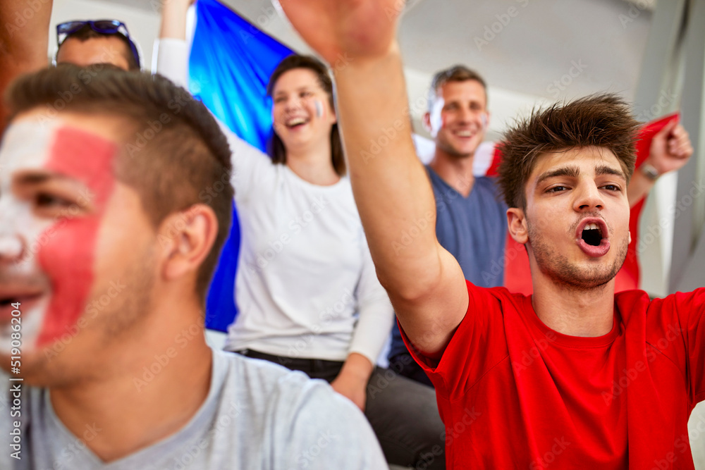 Man shouting with sports fans in stadium Stock Photo | Adobe Stock
