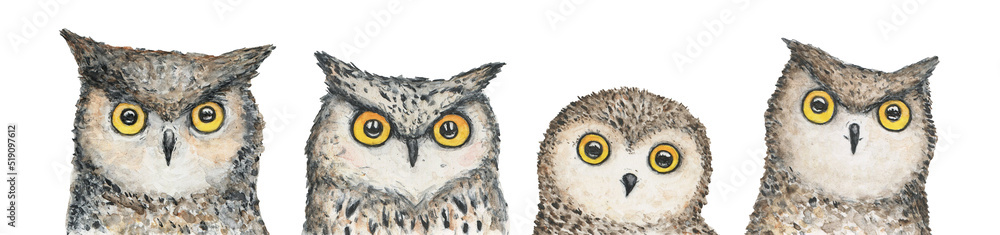 Watercolor illustration collection of four various owl characters ...