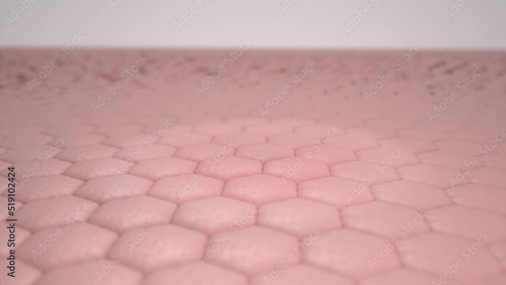 Animation Serum through the skin layer for repair wrinkles and dark ...