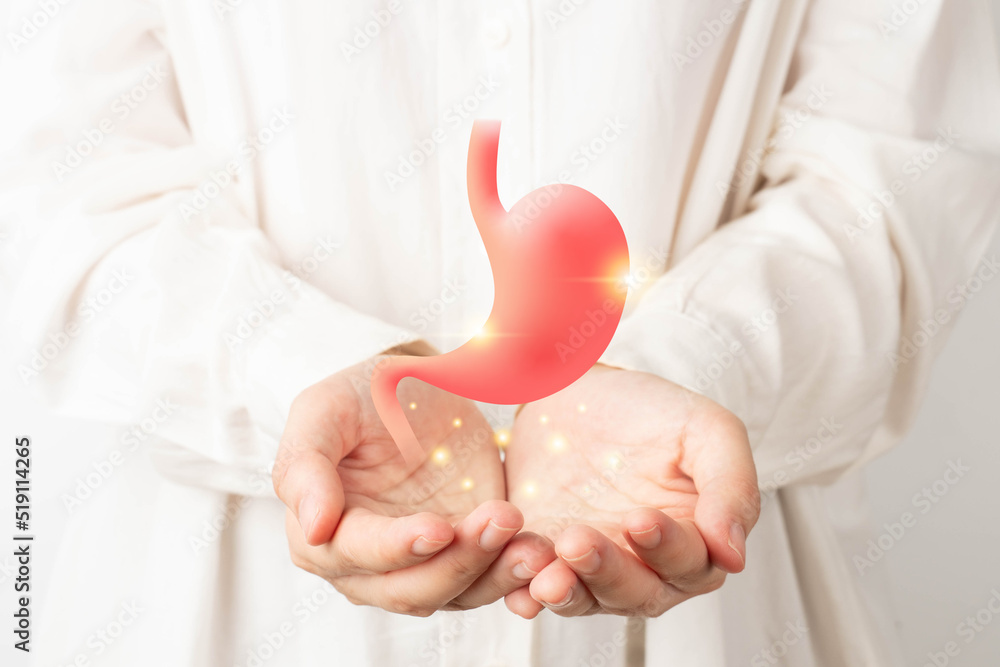 Foto de Healthy stomach organ hologram on human hands. Concept of ...