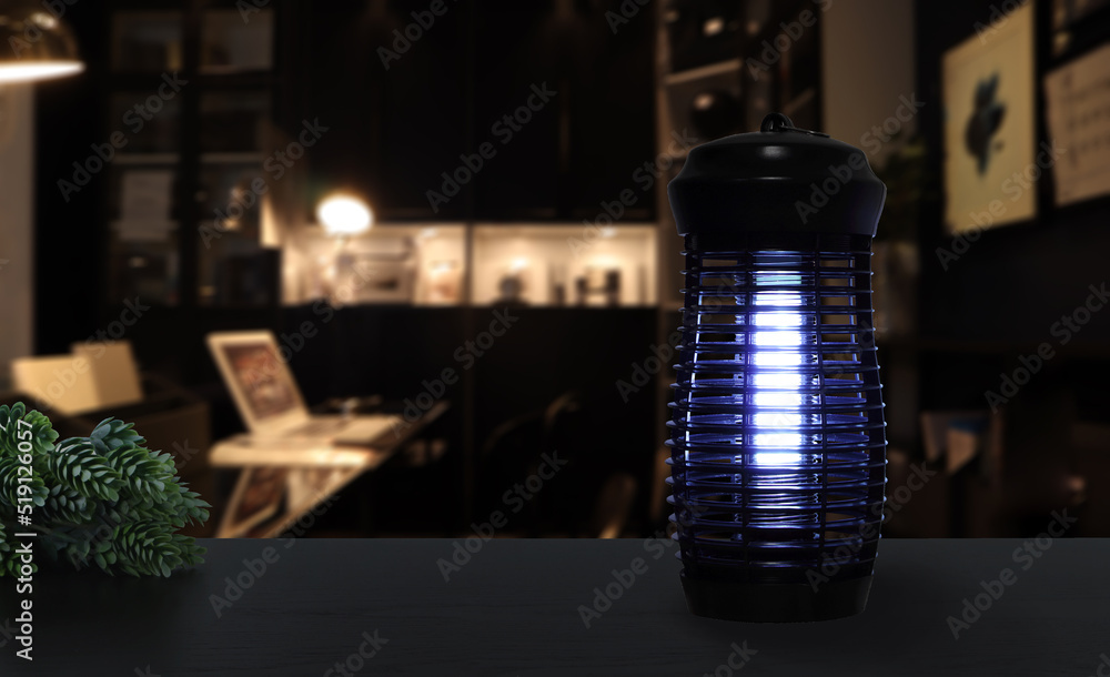 an insects mosquito electric blue light killer lamp is put on the black ...