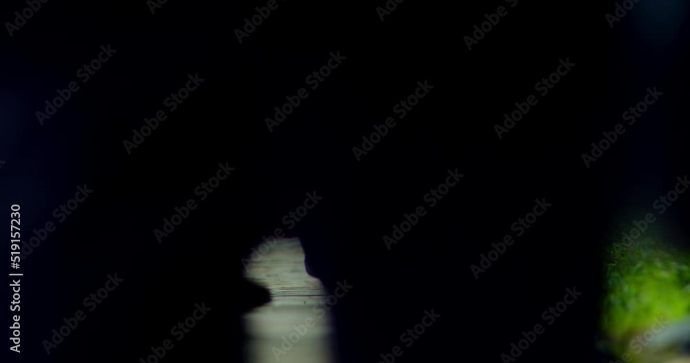 Low angle scene of the Asian high school students in white uniform are ...