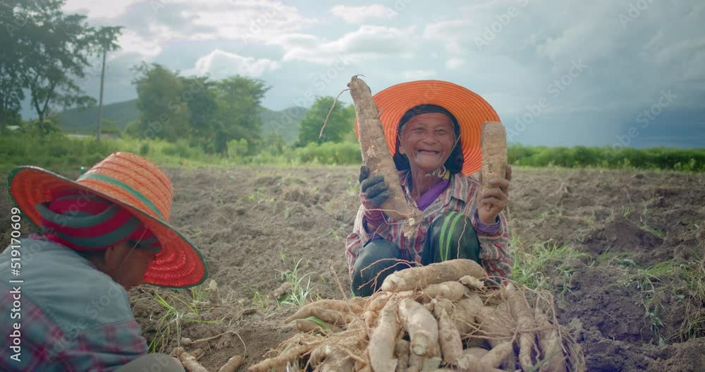 Slow motion scene of happy smiling and laughing Asian farmer woman and ...