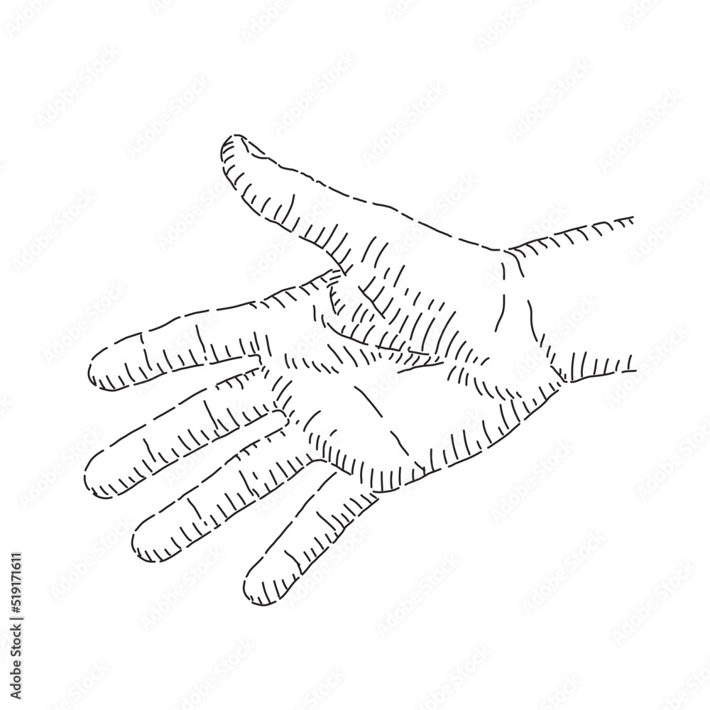 Bosquejo lineal dar la mano, dibujo artistico. Stock Vector | Adobe Stock