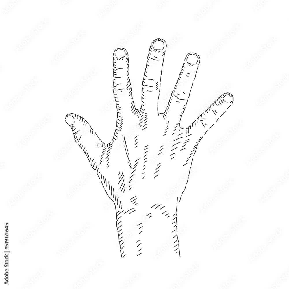 Boceto de mano abierta saludando. Dibujo artistico. Stock-Vektorgrafik ...