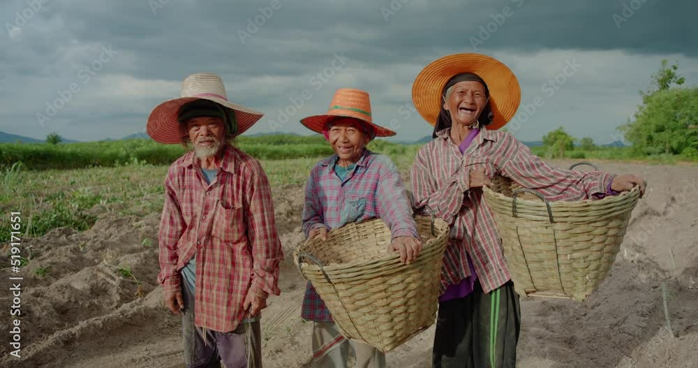 Vidéo Stock Slow motion scene of happy smiling and laughing Asian ...