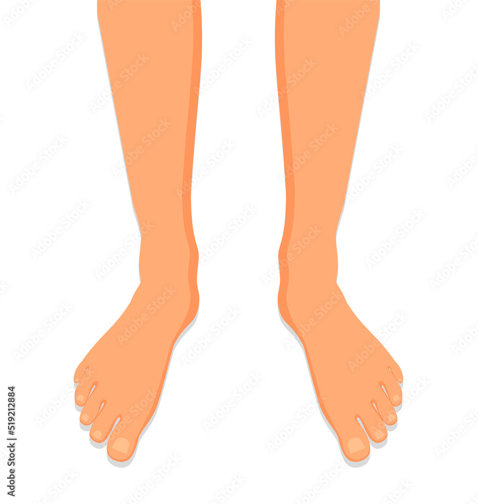 Female legs barefoot, side view. Graceful bare female feet. Vector ...