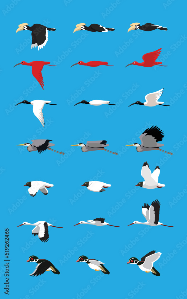 Various Bird Flying Sequence Cute Cartoon Vector Illustration Set ...
