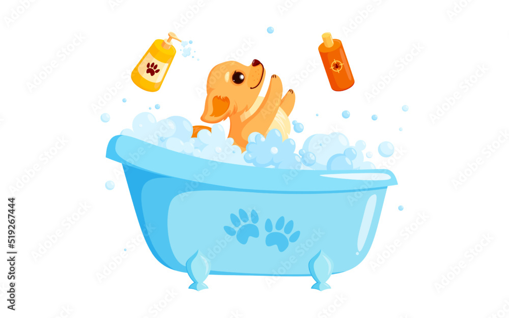Vetor de Dog grooming in a bath with pet shampoo. Playful chihuahua ...