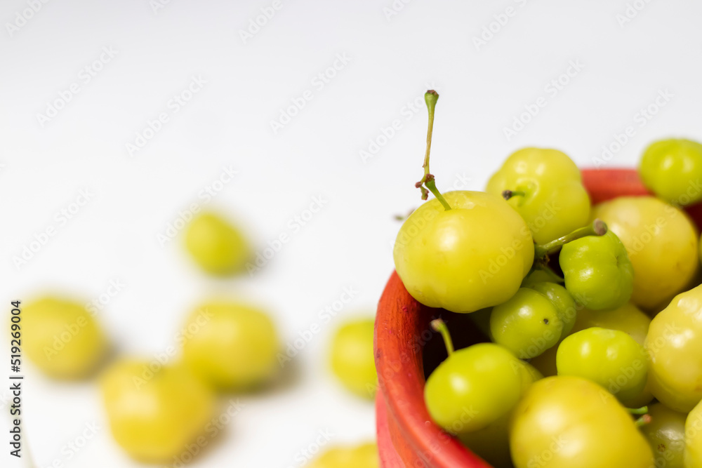 Orboroi High Resolution Stock Photography and Images, Phyllanthus ...