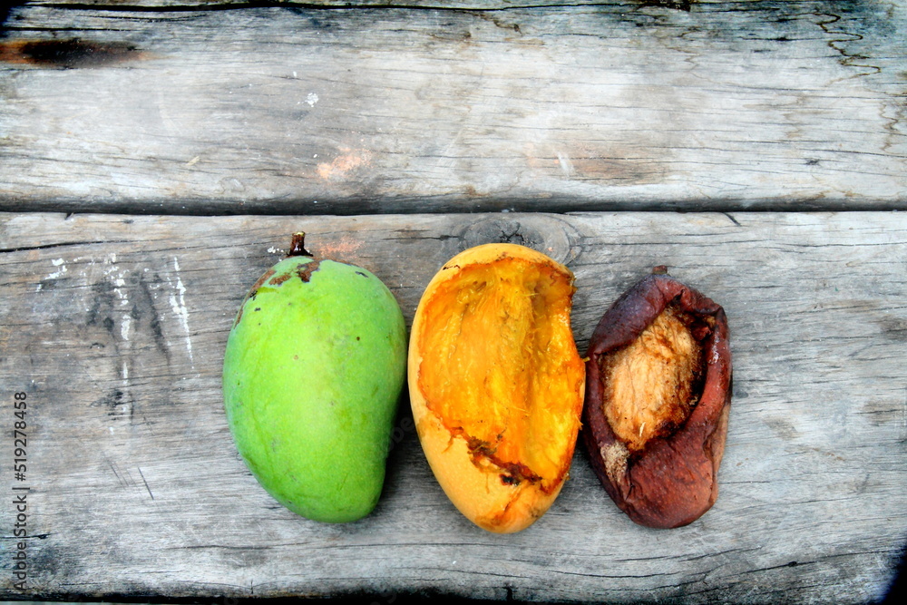 Three mango, green, yellow, red like reggae color on wood table ...