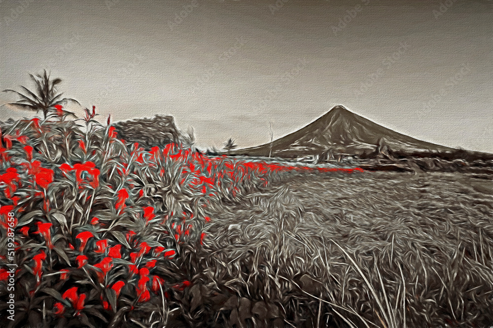 Black and White with red flower leading line in Mayon Volcano Legazpi ...
