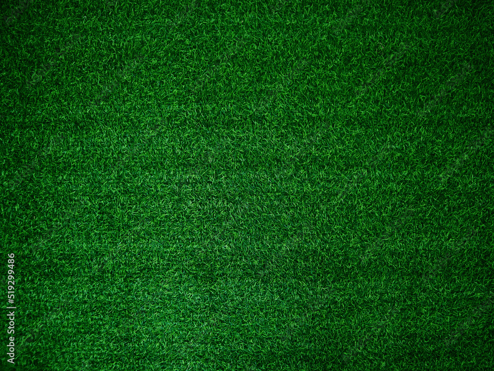 Green grass texture background grass garden concept used for making ...