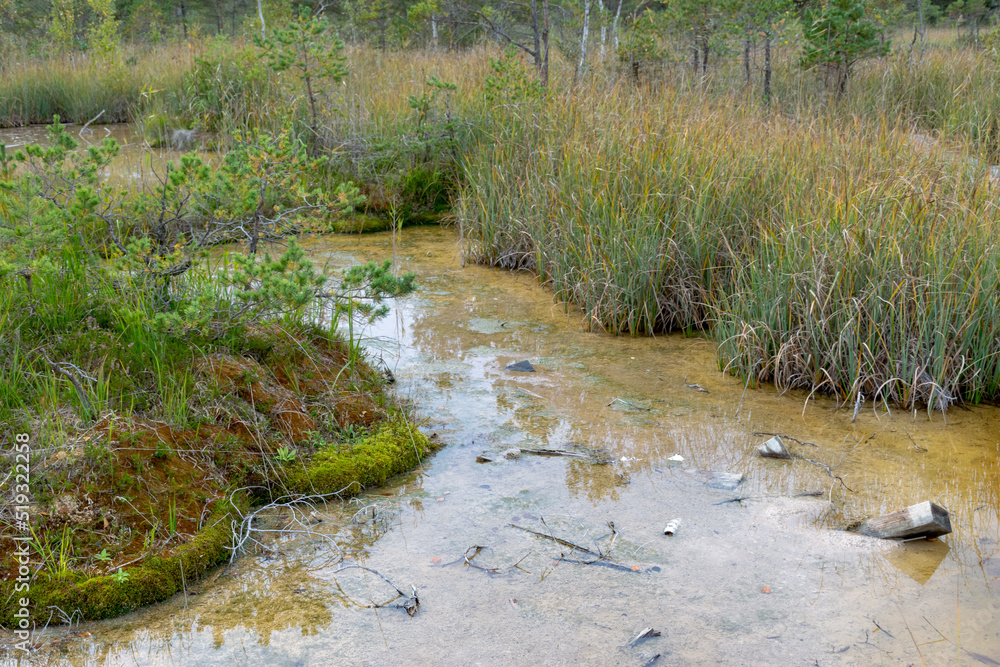 Foto de Sulfur Pond, which are water llamas formed on the periphery of ...