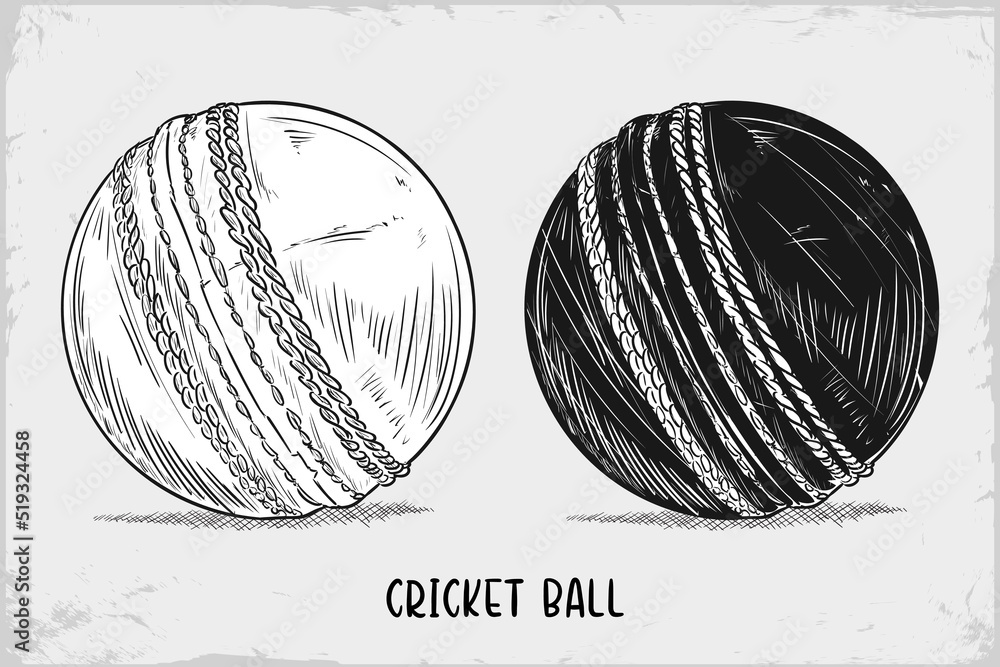 Hand drawn Cricket ball sketch isolated on white background, Detailed ...