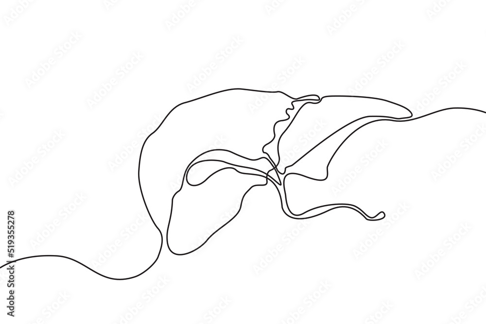 Liver Hand drawn icon continuous line drawing. Human organs Creative ...