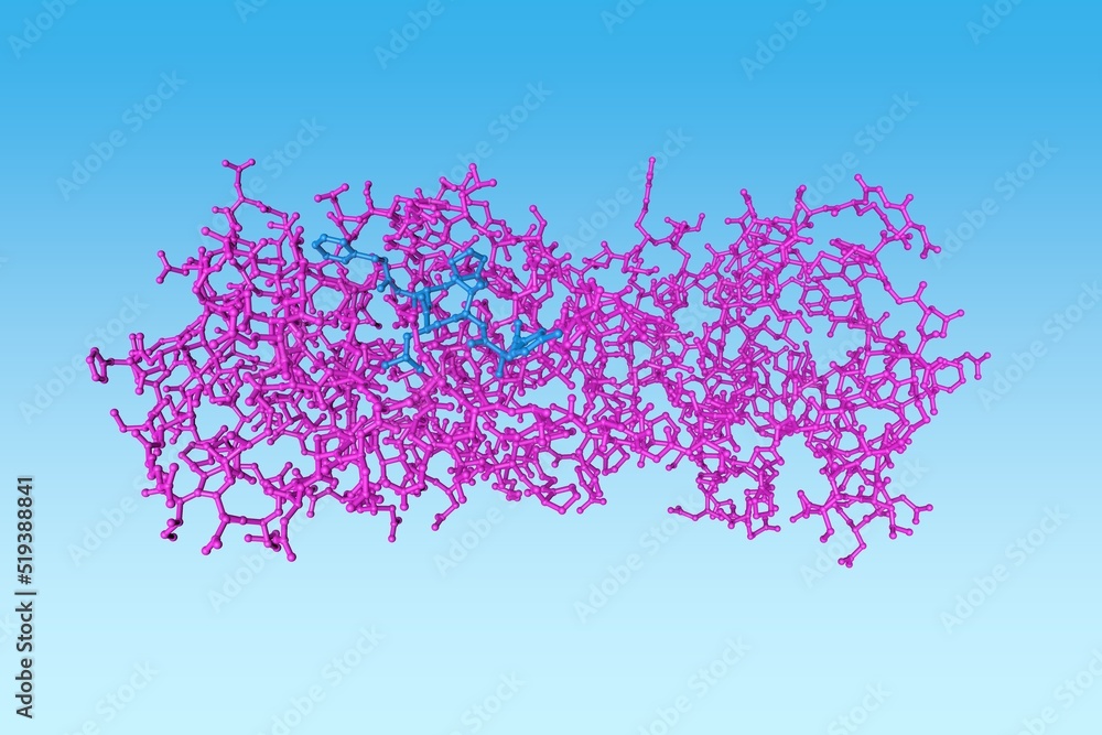 COVID-19 main protease in complex with inhibitor N3. Molecular model on ...