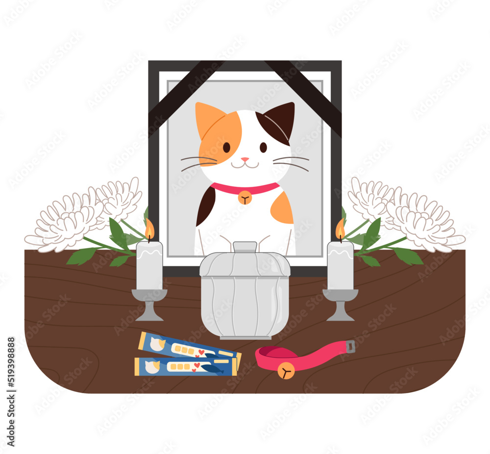 Funeral scene of a dead cat. The things the cat loved while he was ...