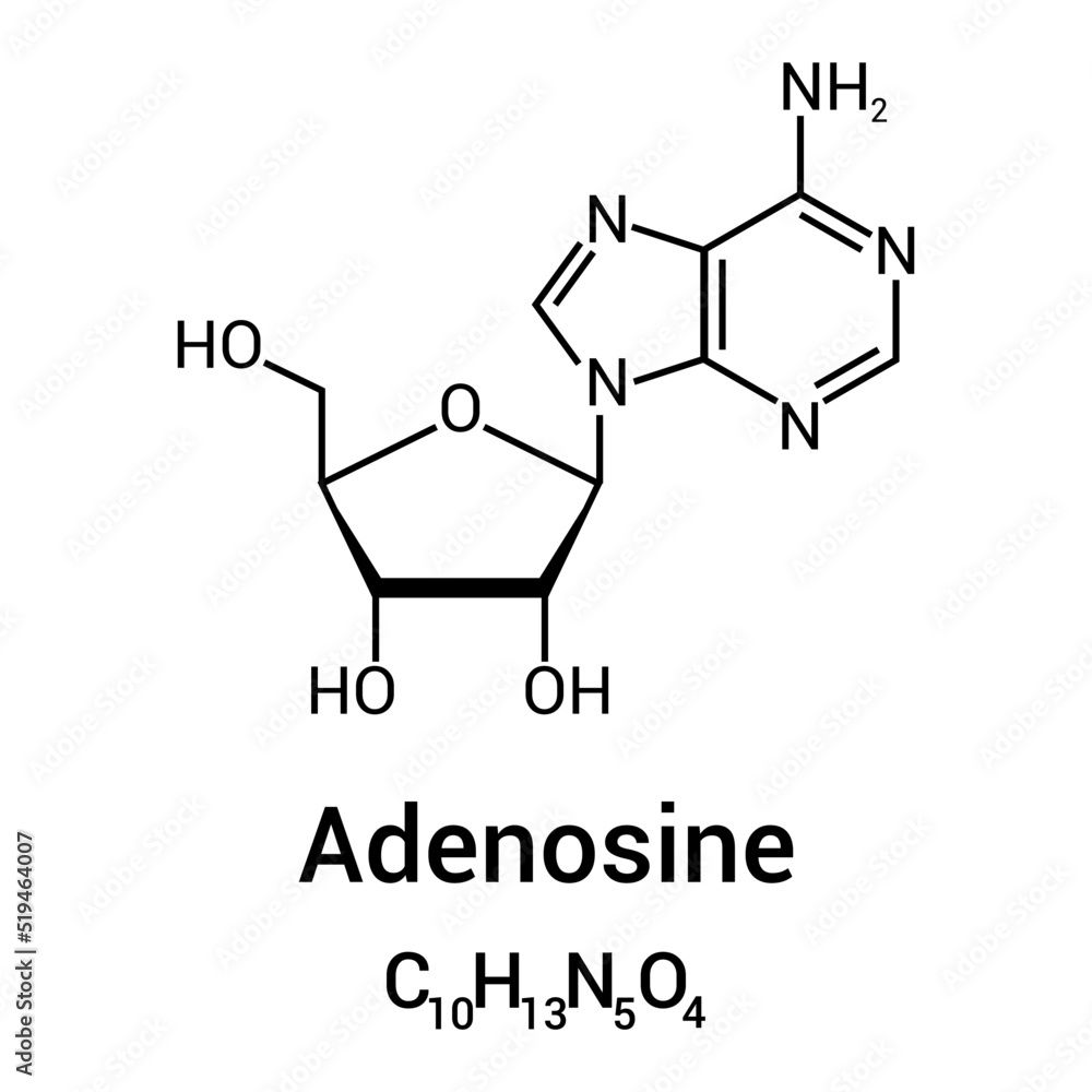 Adenosine Structure