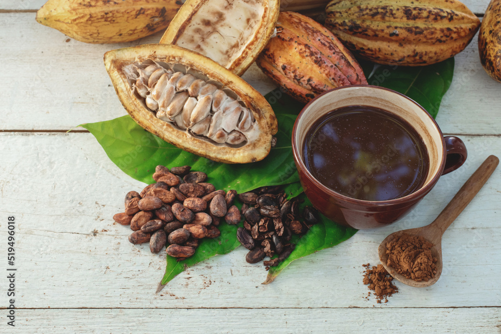 View from above, cup of chocolate drink with fresh cacoa fruits ...