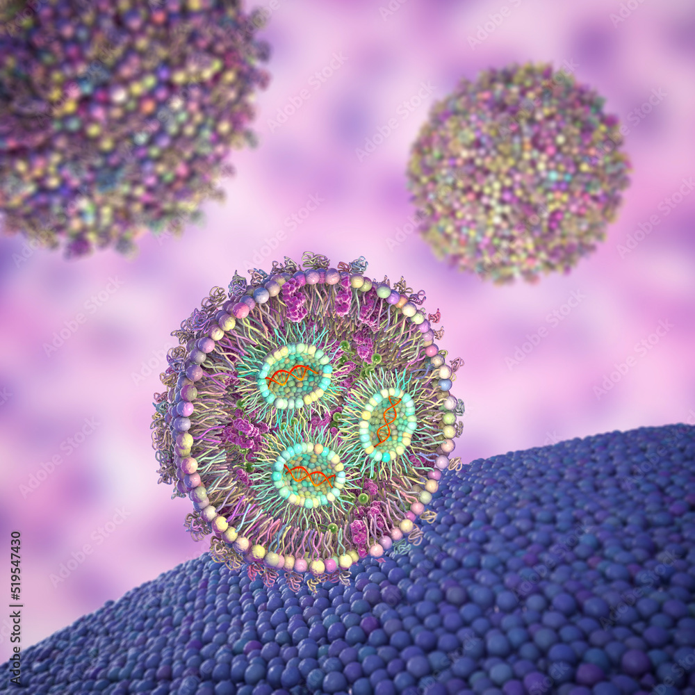 Lipid nanoparticle mRNA vaccine, 3D illustration Stock Illustration ... Lipid nanoparticle mRNA vaccine, 3D illustration Stock Illustration ...