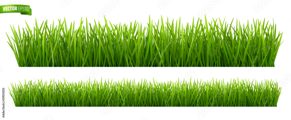 Vector realistic illustration of grass borders on a white background ...